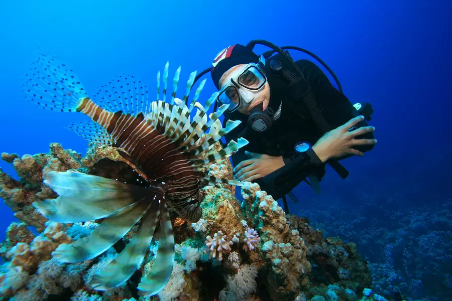 Learn How to Become a Marine Biologist - Careers, Education, Salary Learn How to Become a Marine Biologist - Careers, Education, Salary