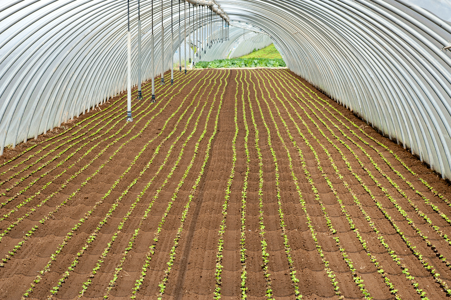 How to Become a Horticulturalist: Careers & Education