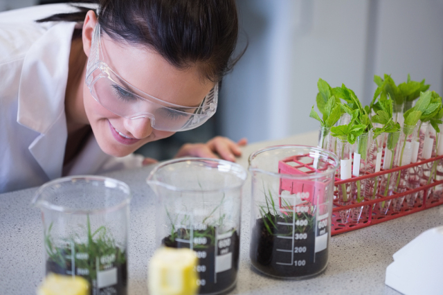 How to Become a Soil and Plant Scientist | EnvironmentalScience.org