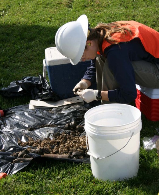 Careers in Environmental Science | Jobs for Enviro Majors