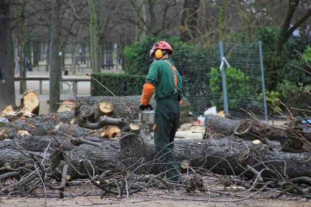 National Park Service Technician: Salary & Career Guide