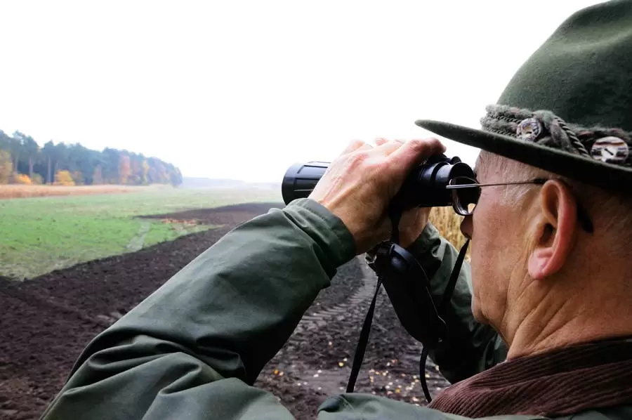 How to Become a Forest Ranger - Requirements, Jobs, Careers