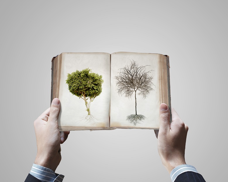 What is Biotechnology? History, Applications & Careers