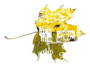 Environmental Engineering & GIS | EnvironmentalScience.org