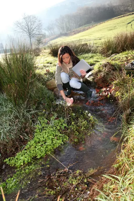 Careers in Environmental Science | Jobs for Enviro Majors