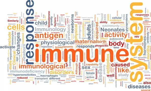 How to Become an Immunologist | EnvironmentalScience.org