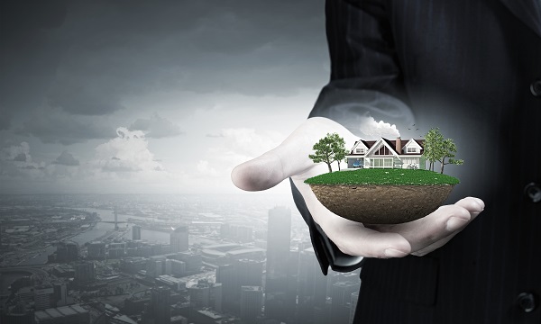 Environmental Management and Its History | EnvironmentalScience.org