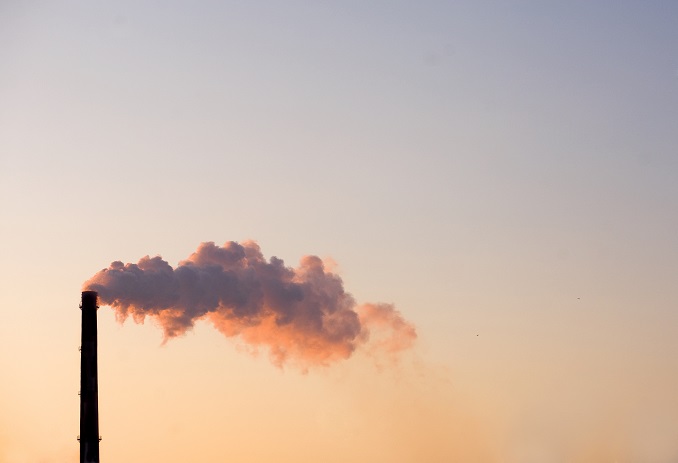 Explore Green Careers & Jobs in Enviro Sustainability