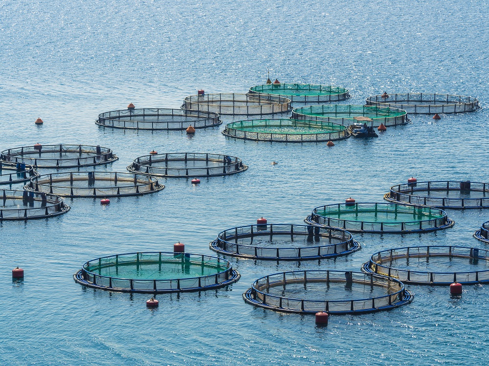 Fisheries Biologist: Career, Salary & Education Guide