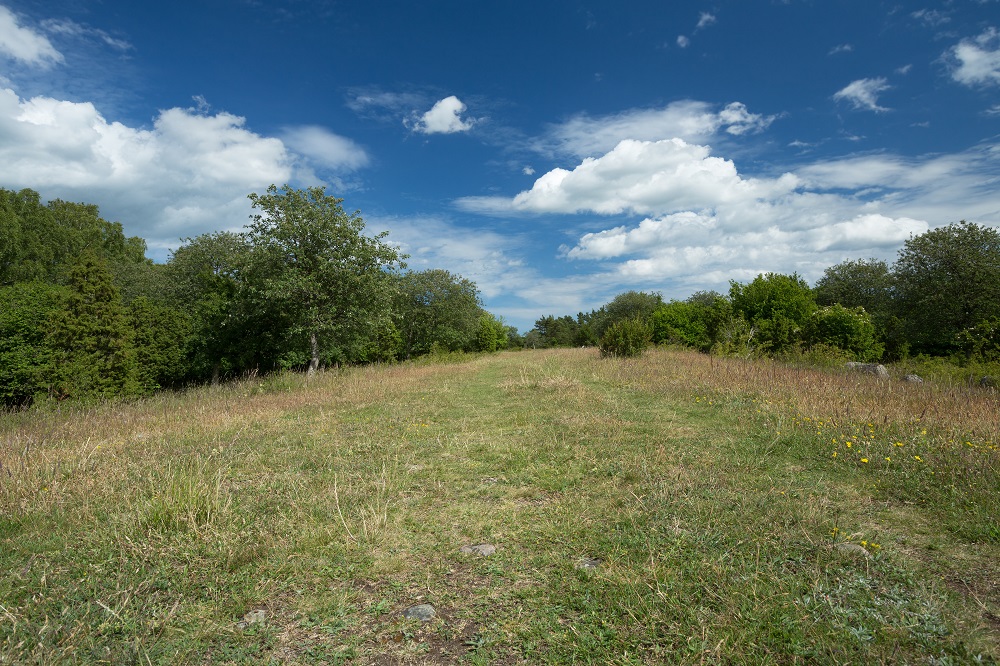 How to Become a Habitat Restoration Engineer | EnvironmentalScience.org