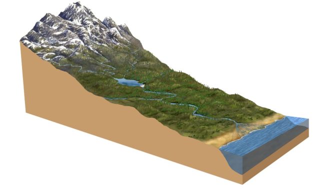 How to Become a Hydrogeologist | EnvironmentalScience.org