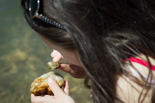 How to Become a Marine Geologist | EnvironmentalScience.org