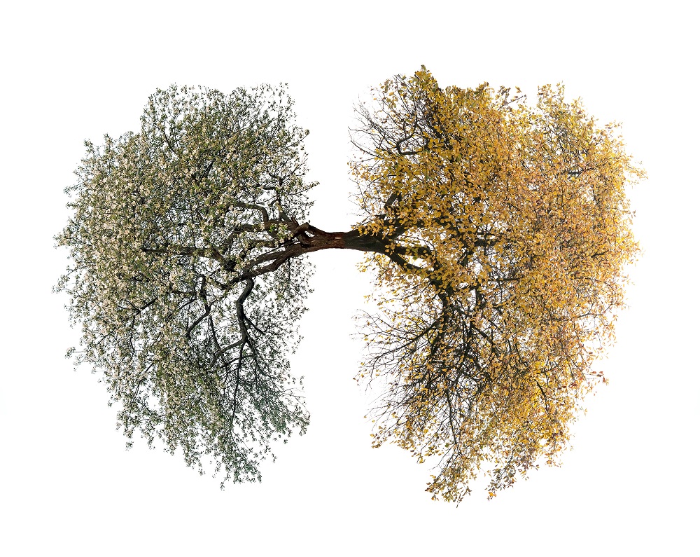 How to Become a Physiologist | EnvironmentalScience.org