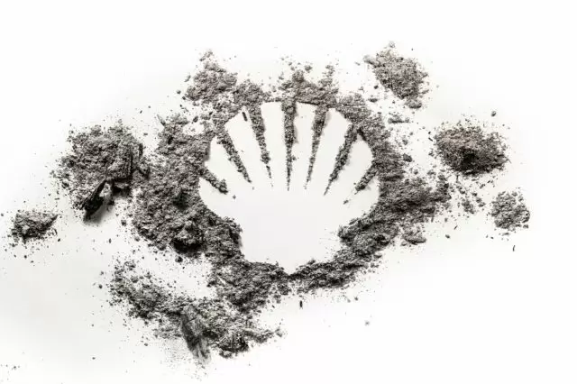 How to Become a Paleoecologist | EnvironmentalScience.org