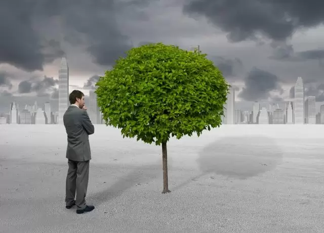 How to Become a Land Management Specialist | EnvironmentalScience.org