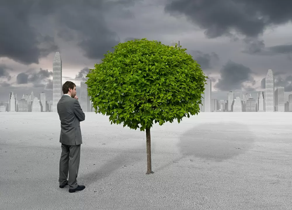 How to Become a Land Management Specialist | EnvironmentalScience.org