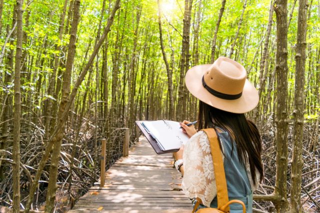 How to Become a Plant Ecologist | EnvironmentalScience.org