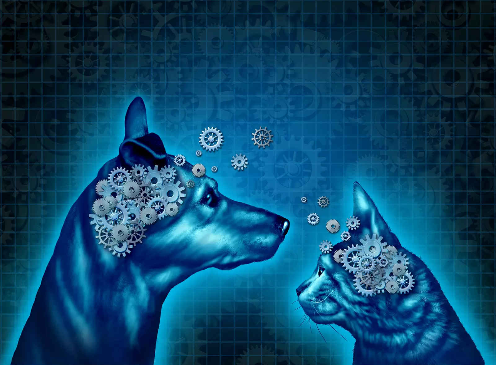 How to Become an Animal Psychologist | EnvironmentalScience.org How to Become an Animal Psychologist | EnvironmentalScience.org