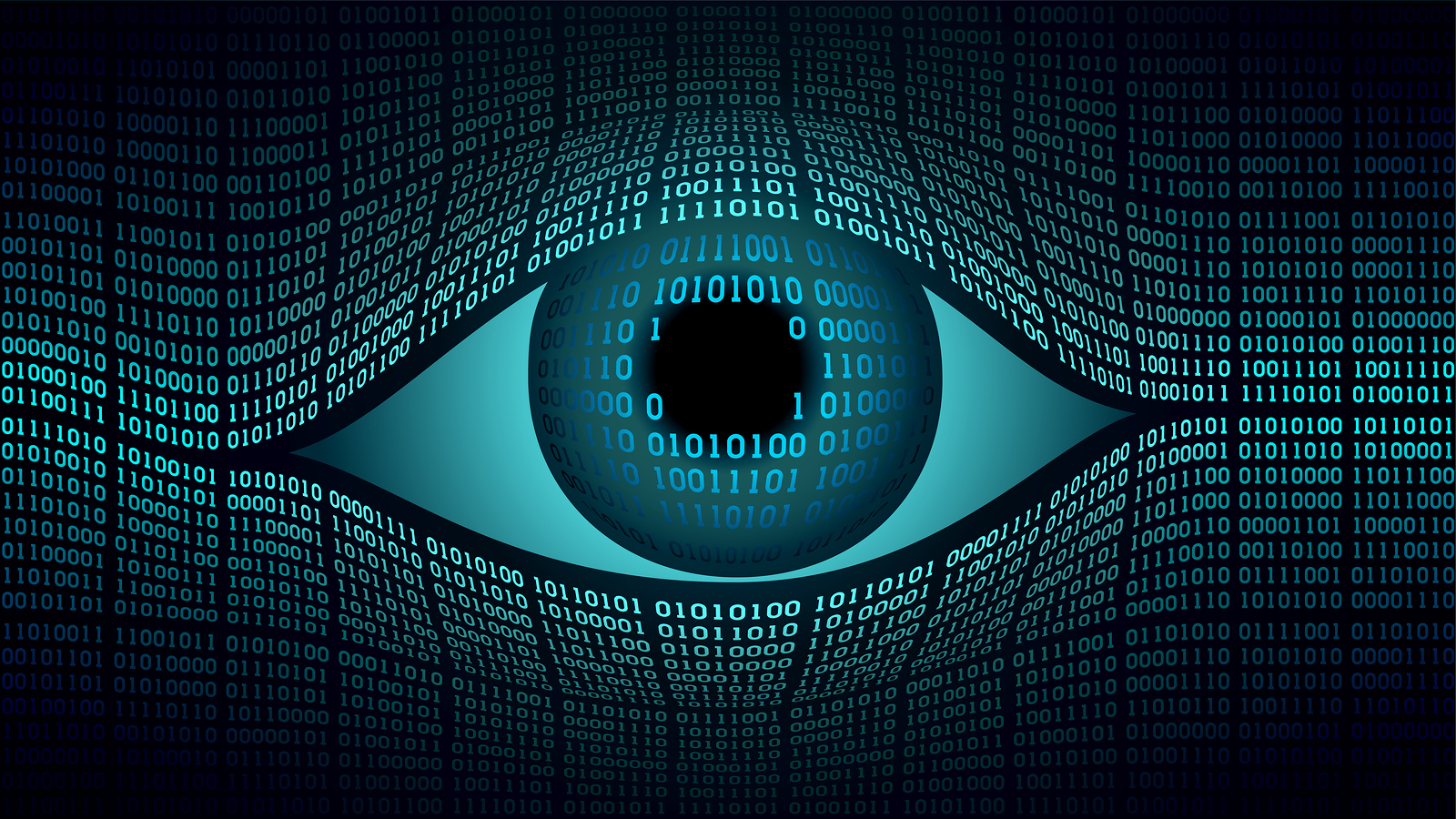 Big Data: Explaining its Uses to Environmental Sciences | EnvironmentalScience.org