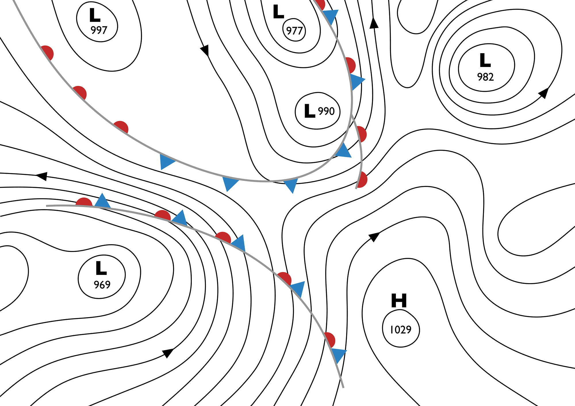 Dendrochronology: What Tree Rings Tell Us About Past and Present ...