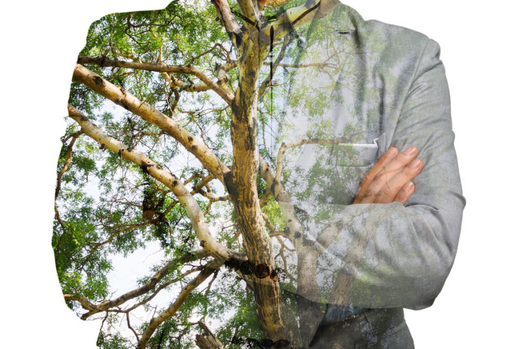 Dating Methods in Environmental Science | Complete Guide